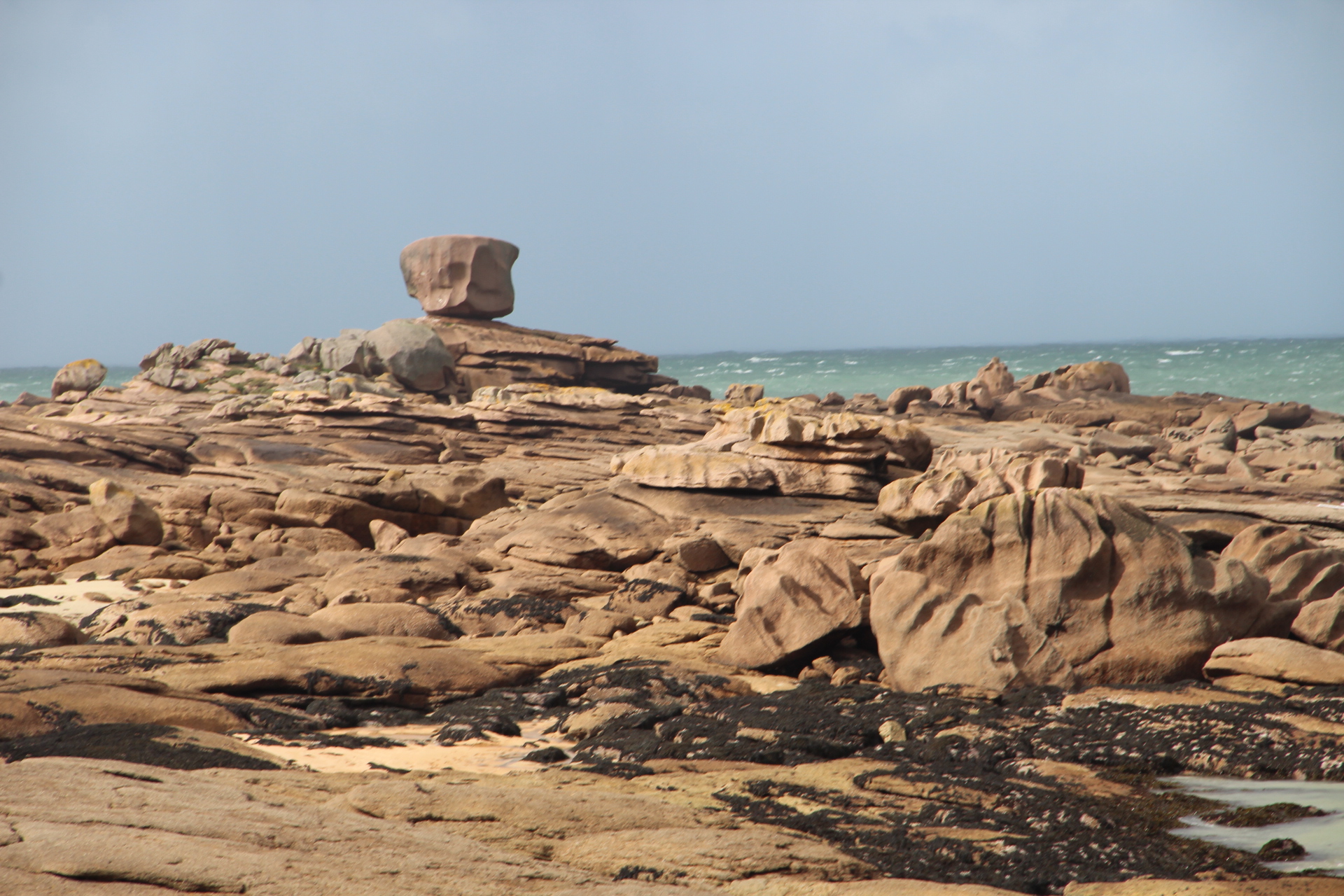 Balade sur l’île Renote à Trégastel